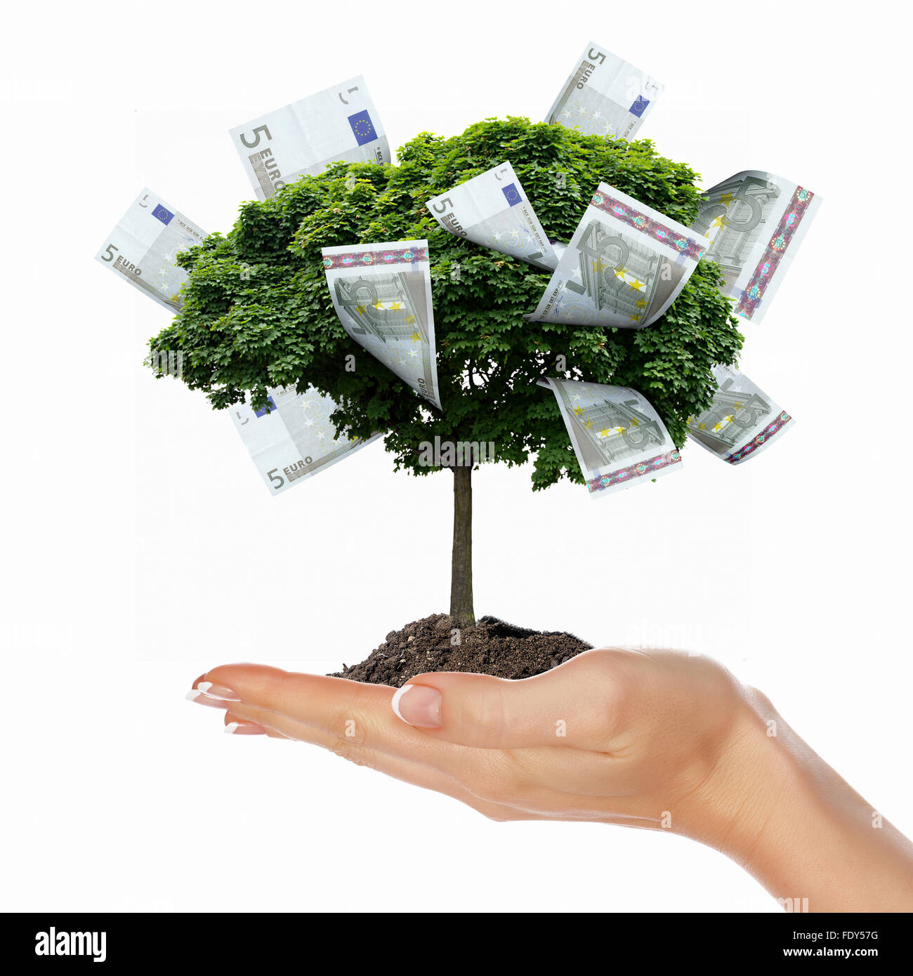 Money Tree with cuts on his hand of man. a symbol of financial success ...