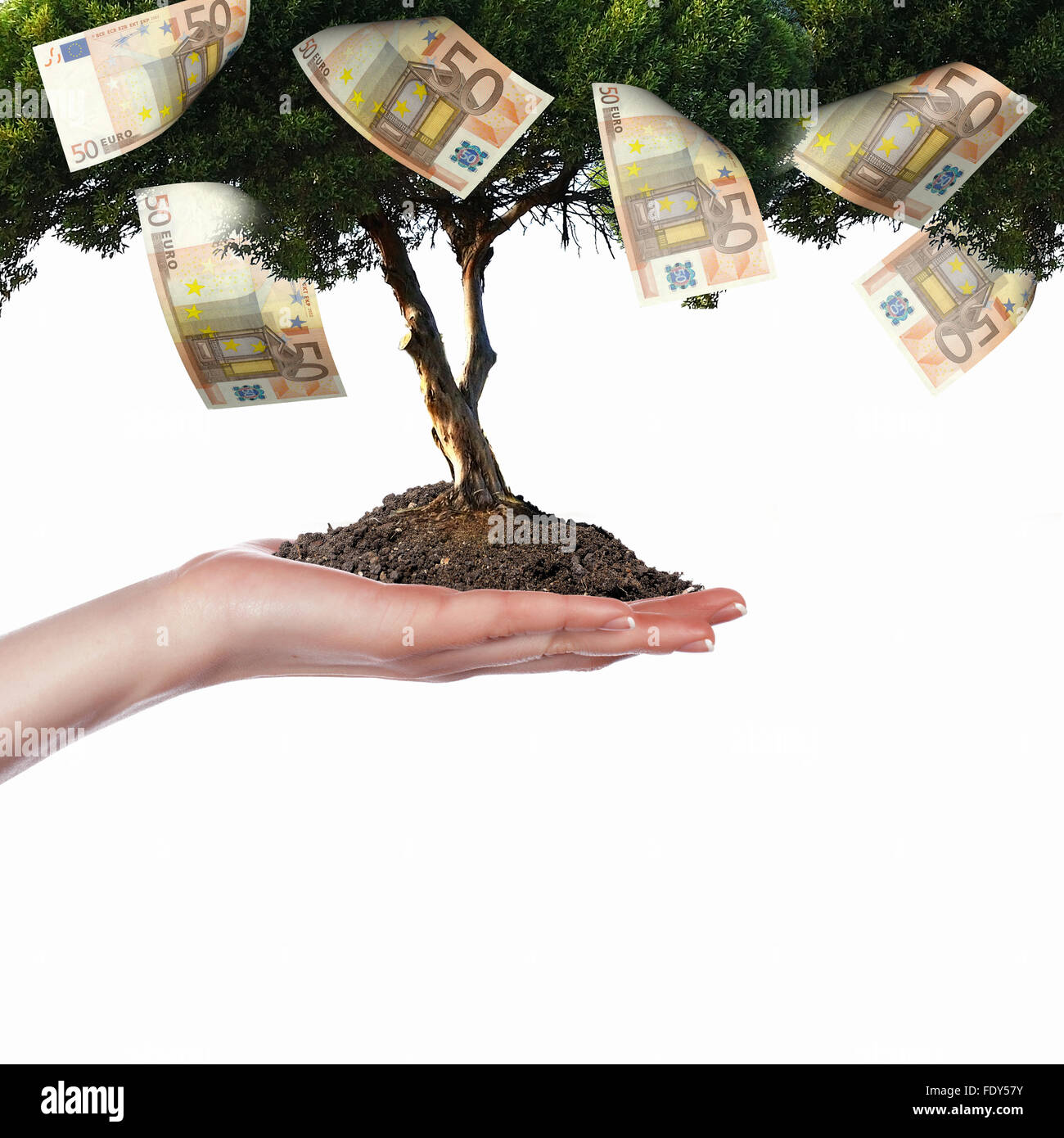 Money Tree with cuts on his hand of man. a symbol of financial success ...