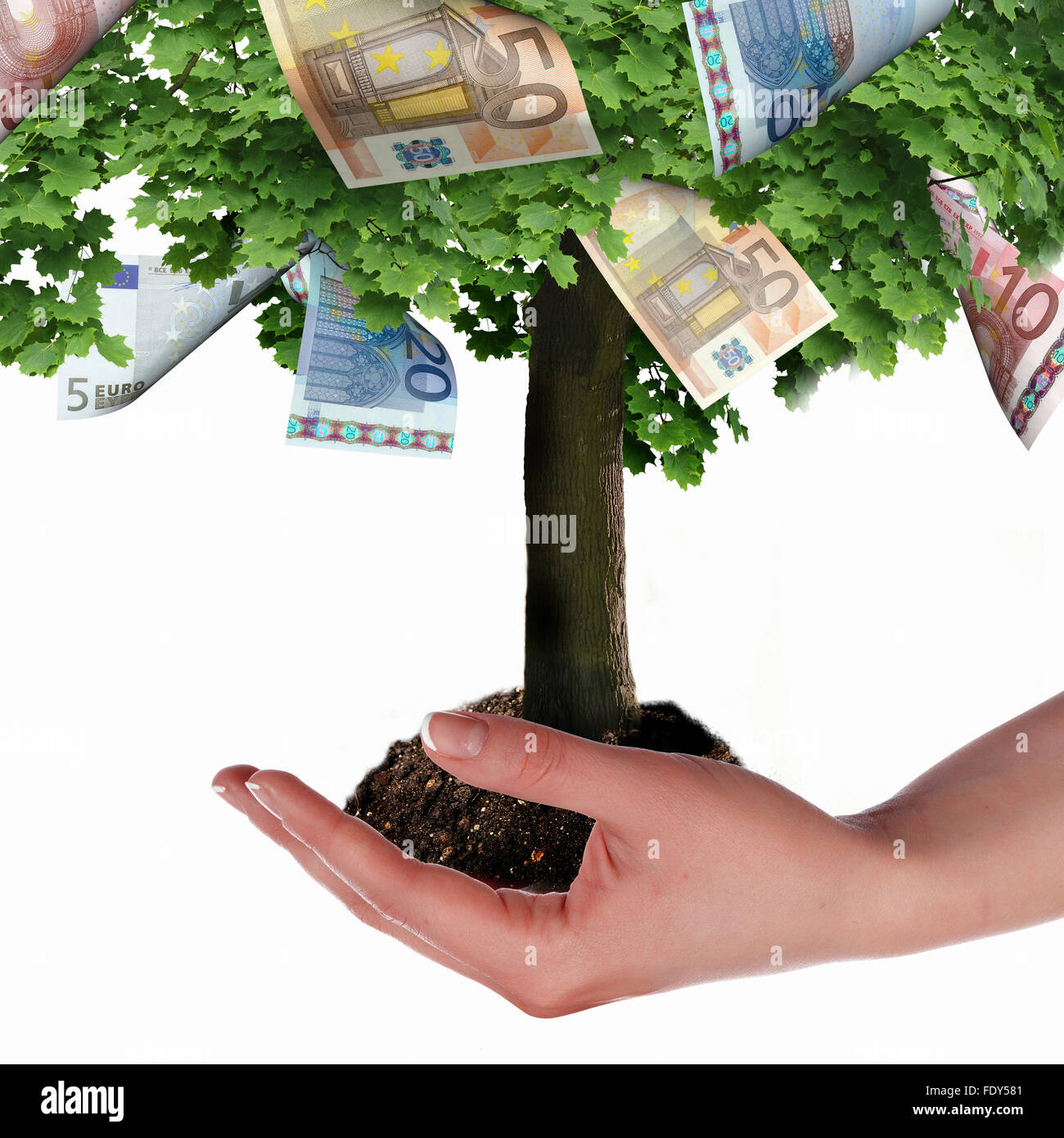 Money Tree with cuts on his hand of man. a symbol of financial success ...