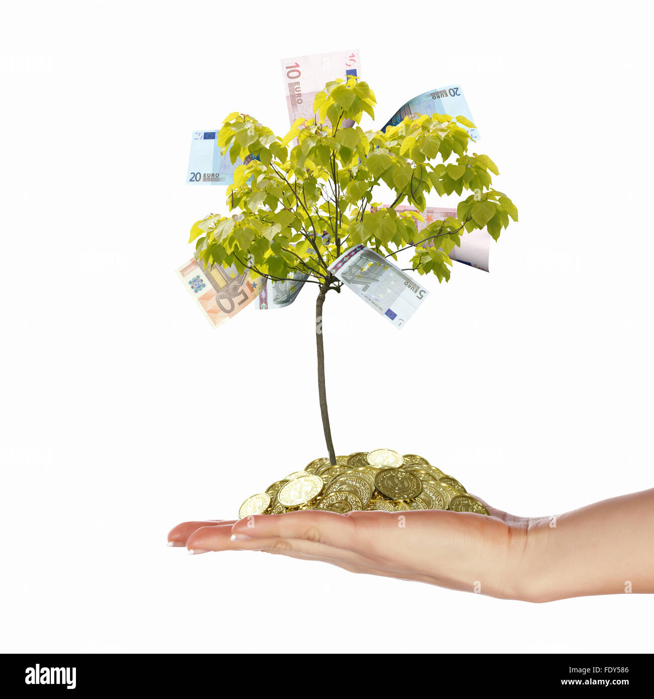 Money Tree with cuts on his hand of man. a symbol of financial success ...