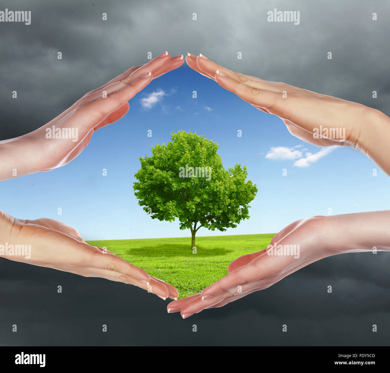 human hands protecting tree from darkness and pollution Stock Photo - Alamy
