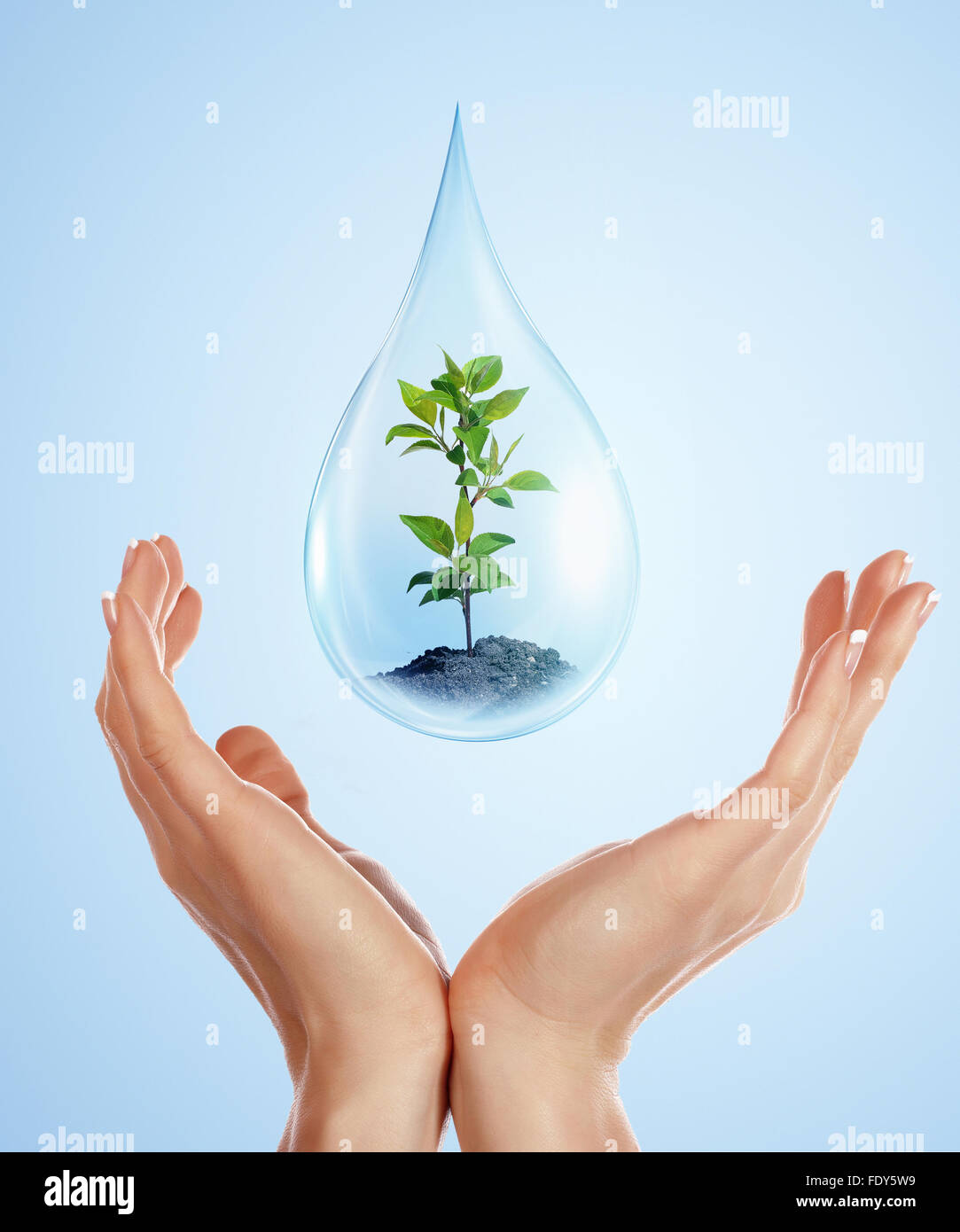 A large drop of water with sprout inside and hands to support it. The ...