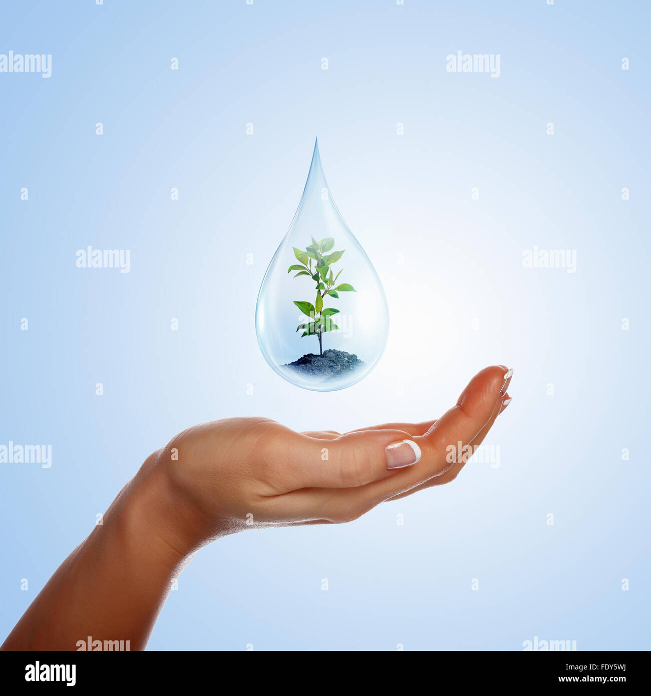 A large drop of water with sprout inside and hands to support it. The ...