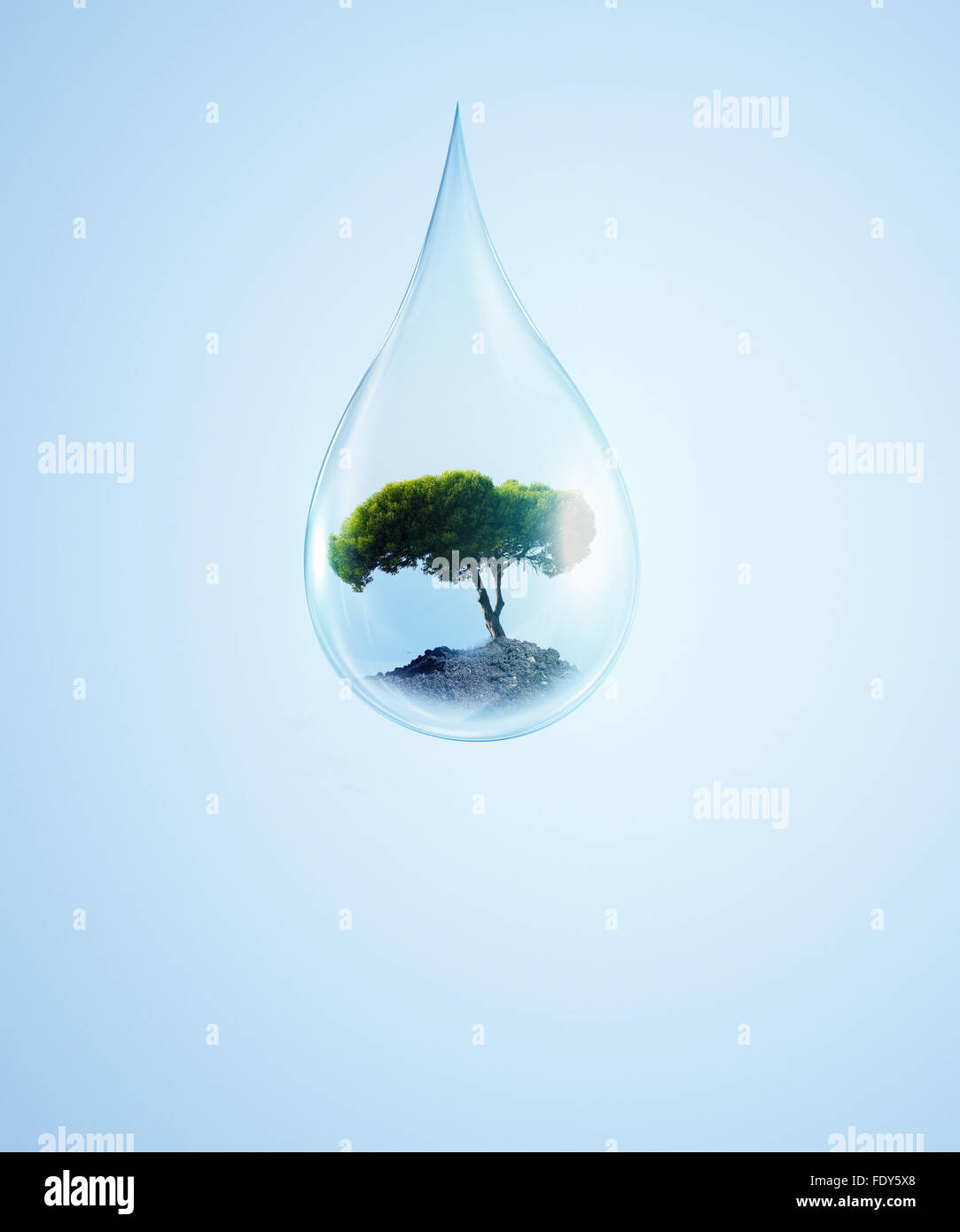 A large drop of water with tree inside on a blue background. As a ...