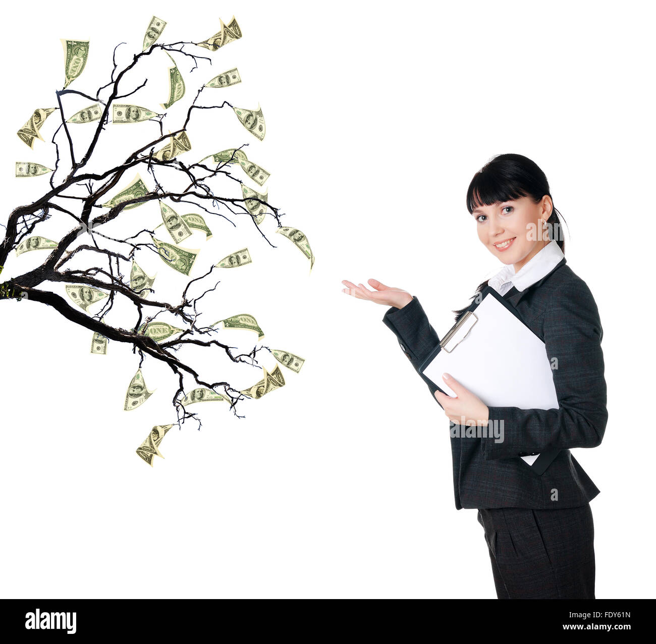 Money Tree as a symbol of business success Stock Photo - Alamy