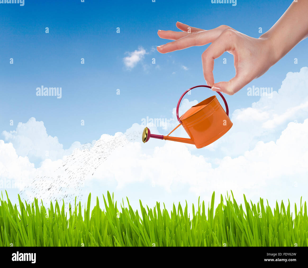 Human hand with orange watering pot watering green grass Stock Photo ...