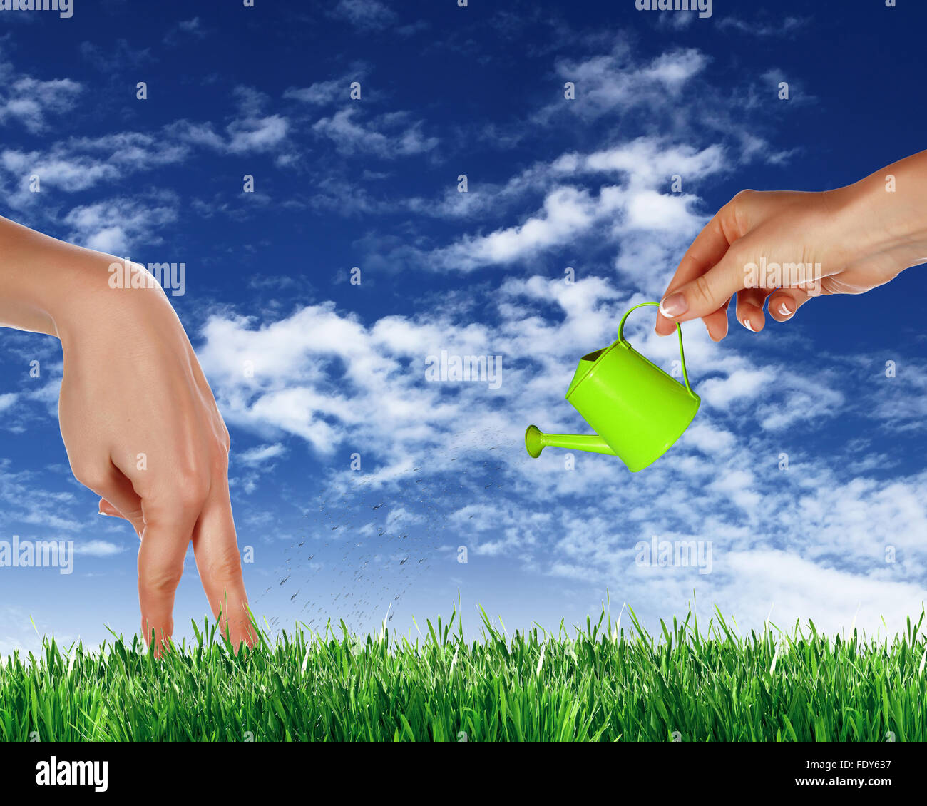 Human hand with orange watering pot watering green grass Stock Photo ...