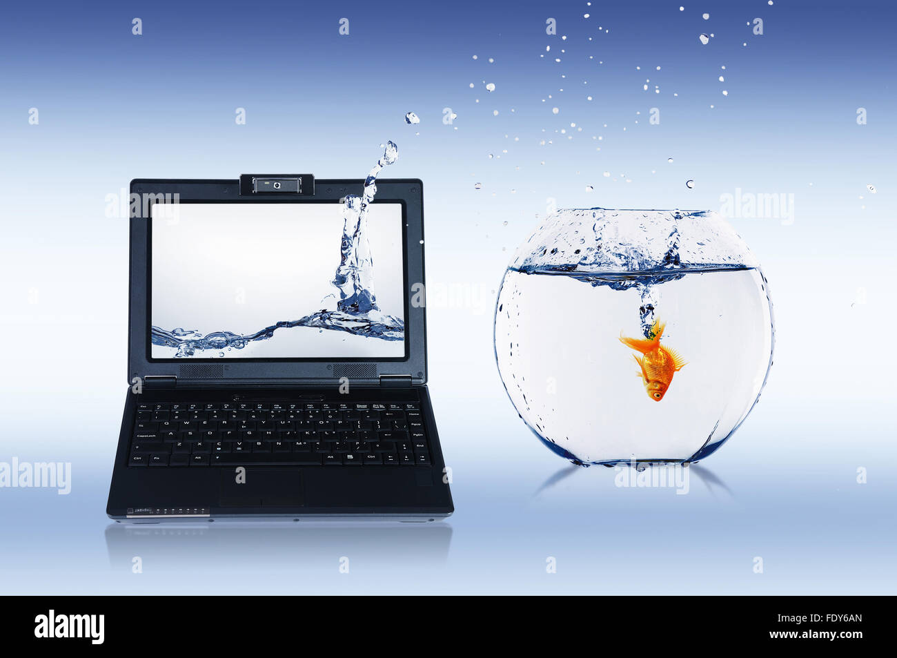 Goldfish and laptop. Collage Stock Photo - Alamy