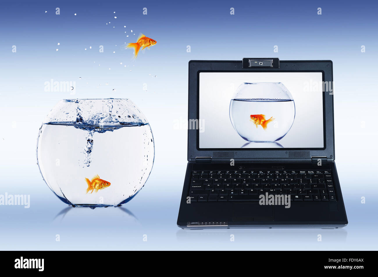 Goldfish and laptop. Collage Stock Photo - Alamy