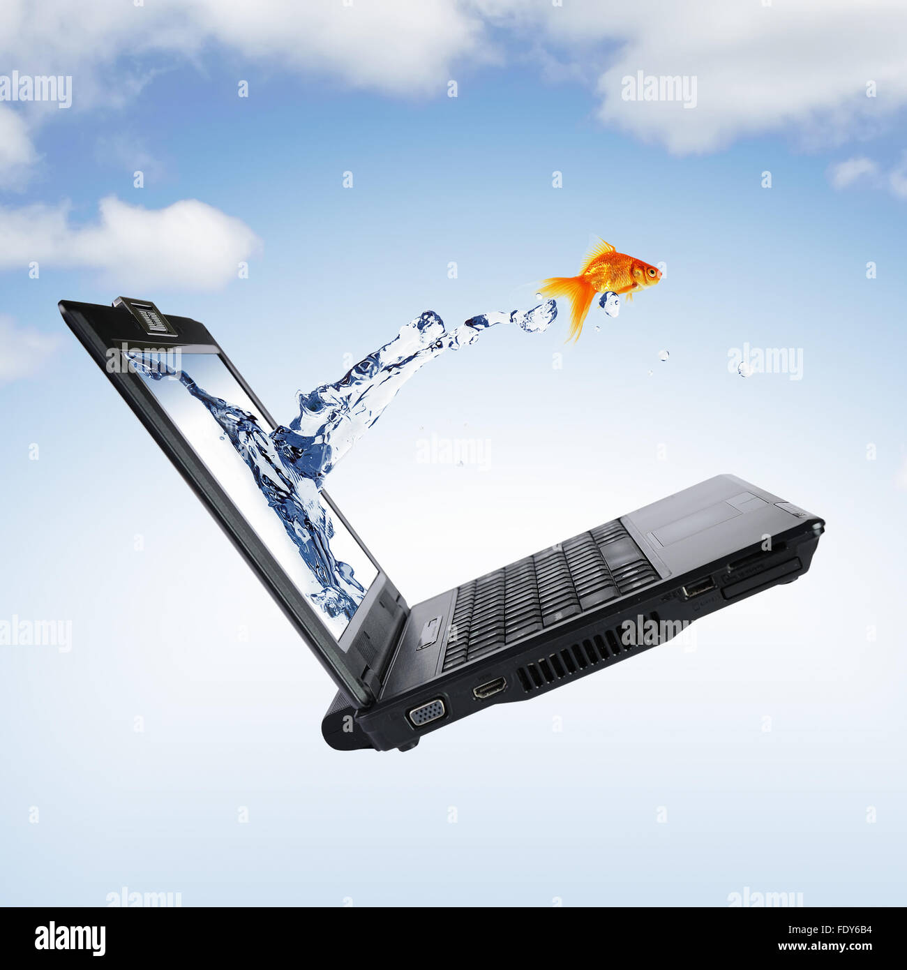 Goldfish and laptop. Collage Stock Photo - Alamy