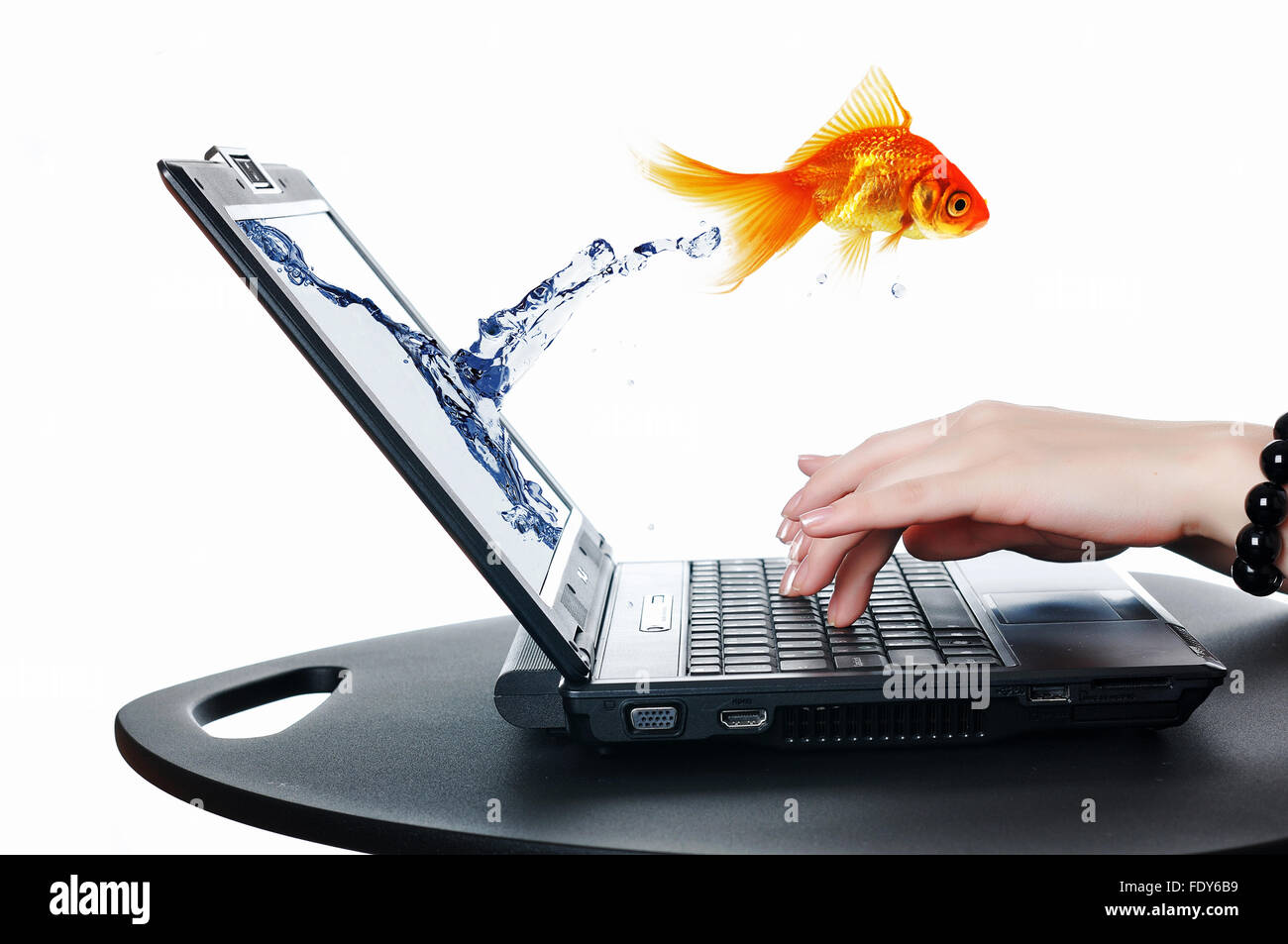 Goldfish and laptop. Collage Stock Photo - Alamy