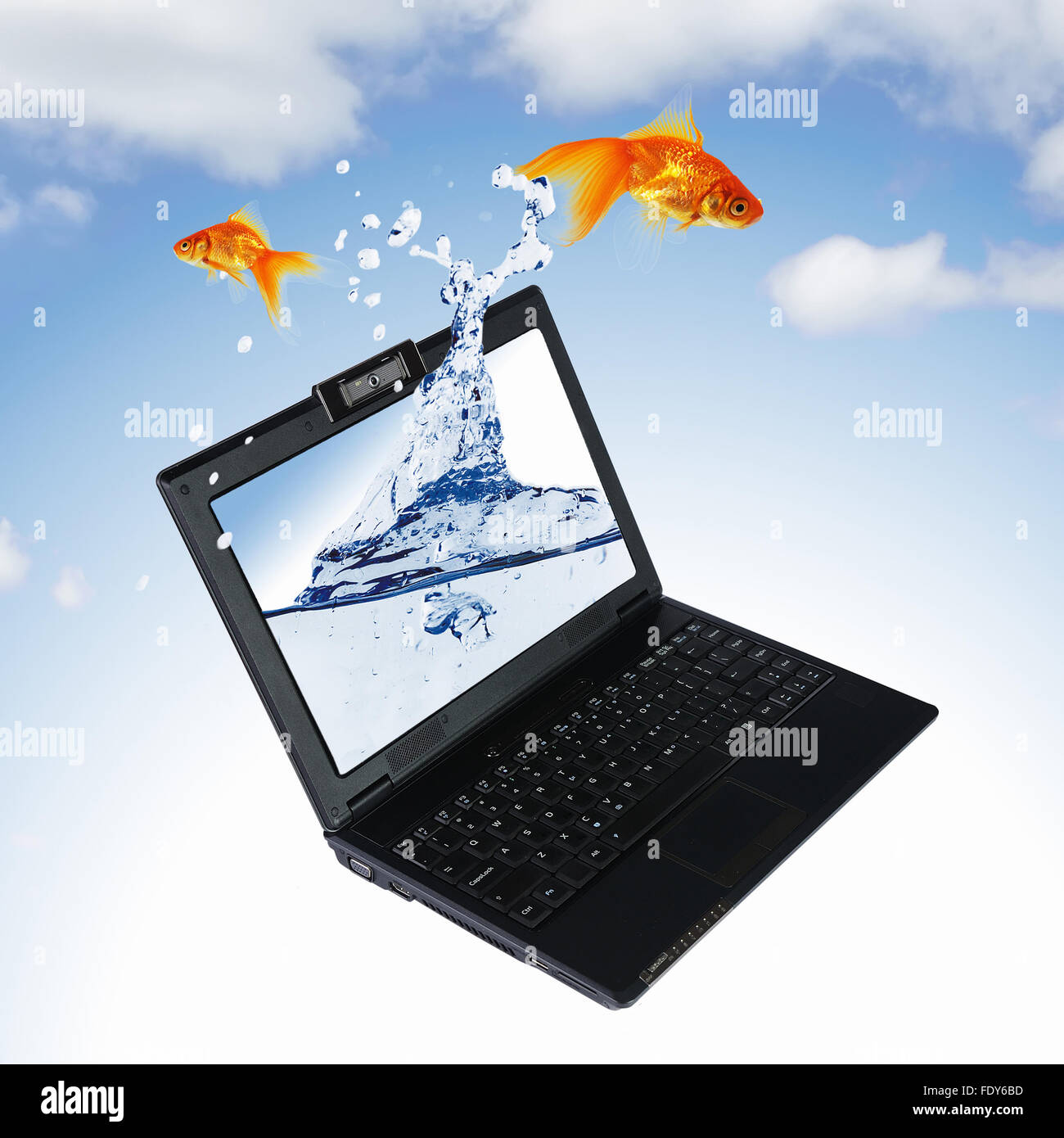 Goldfish and laptop. Collage Stock Photo - Alamy