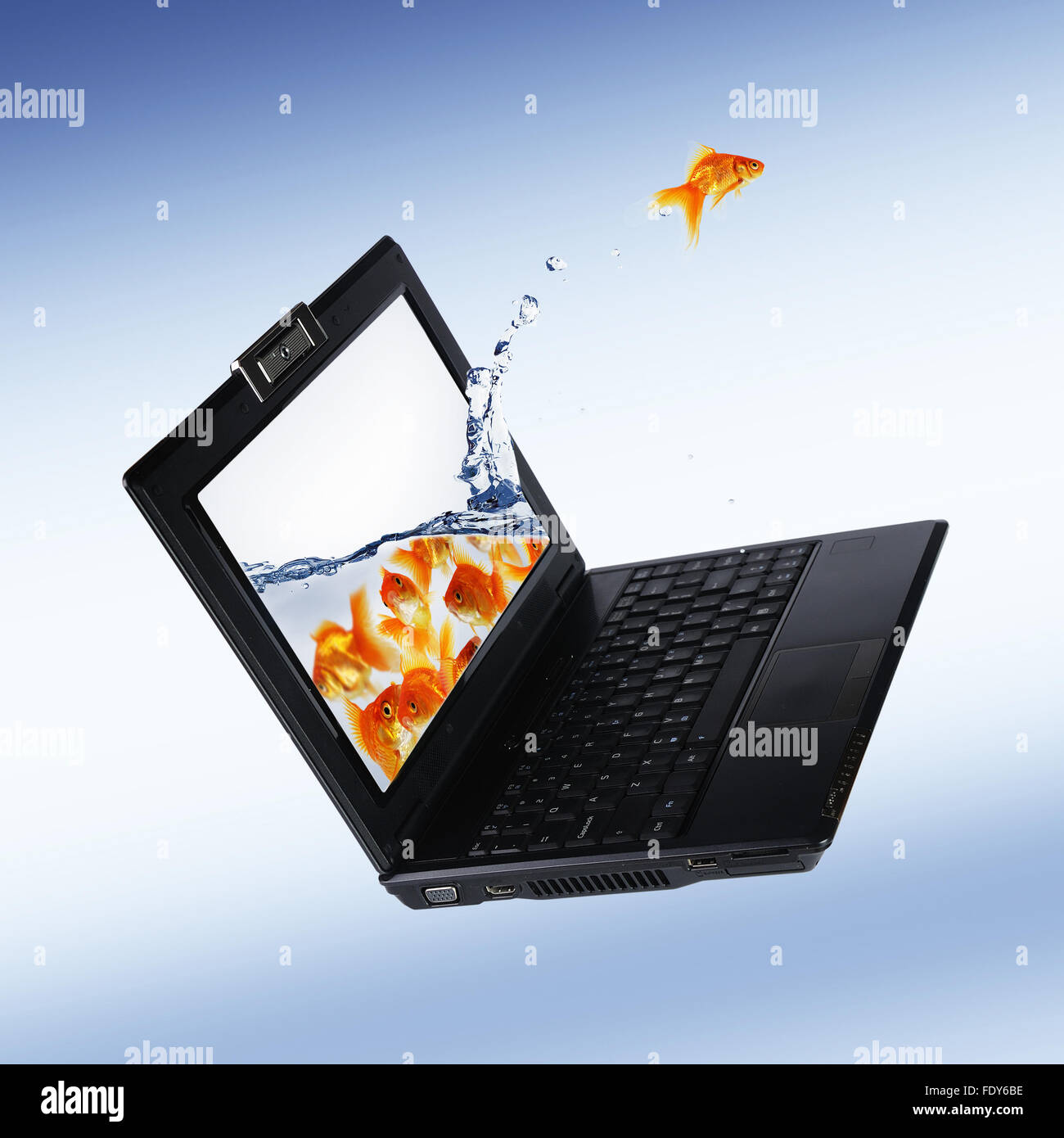 Goldfish and laptop. Collage Stock Photo - Alamy