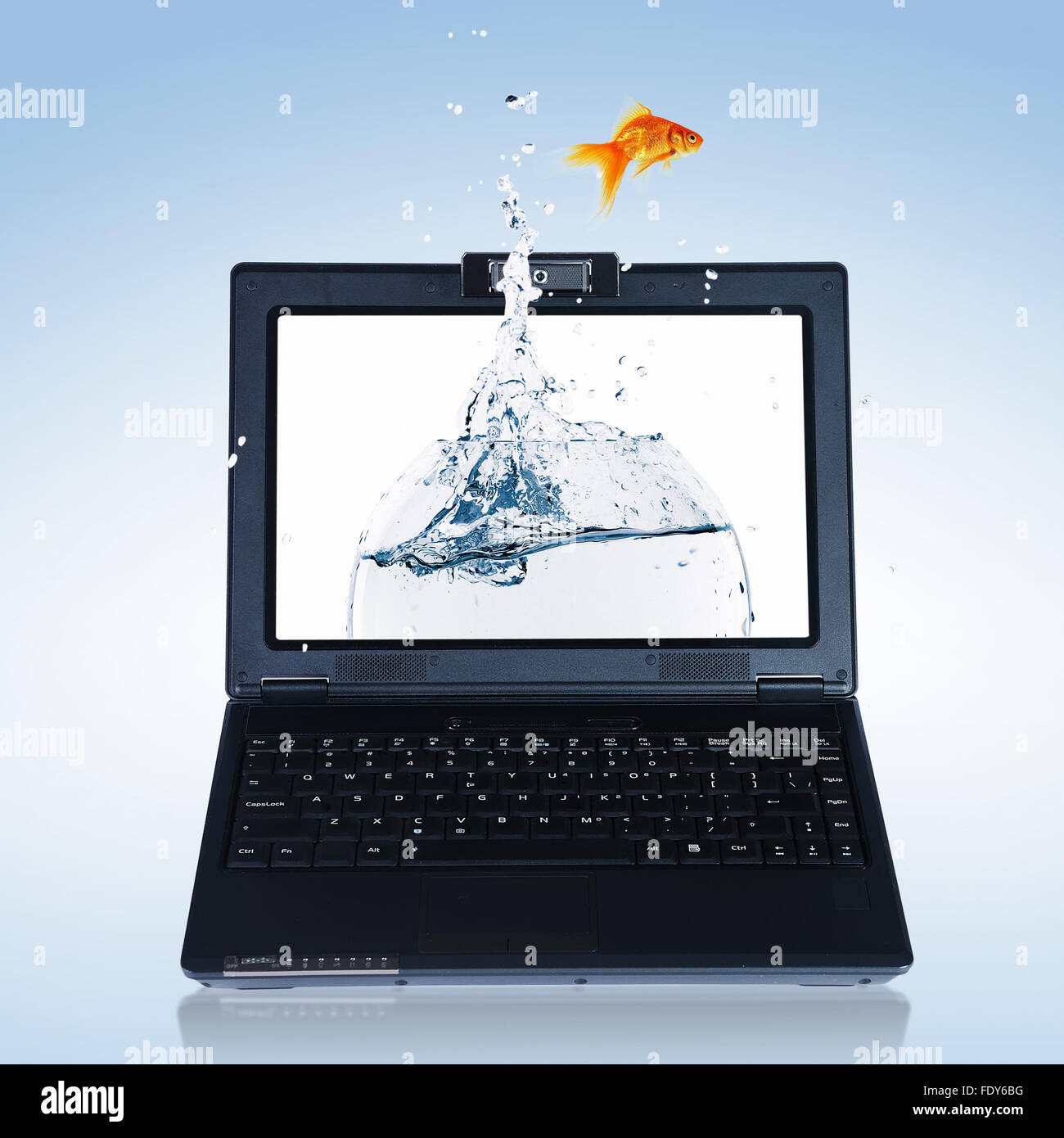 Goldfish and laptop. Collage Stock Photo - Alamy