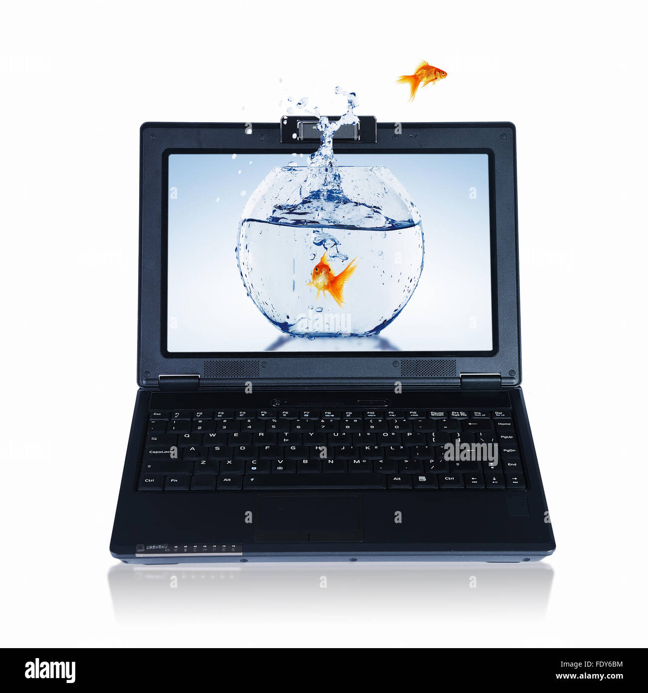 Goldfish and laptop. Collage Stock Photo - Alamy