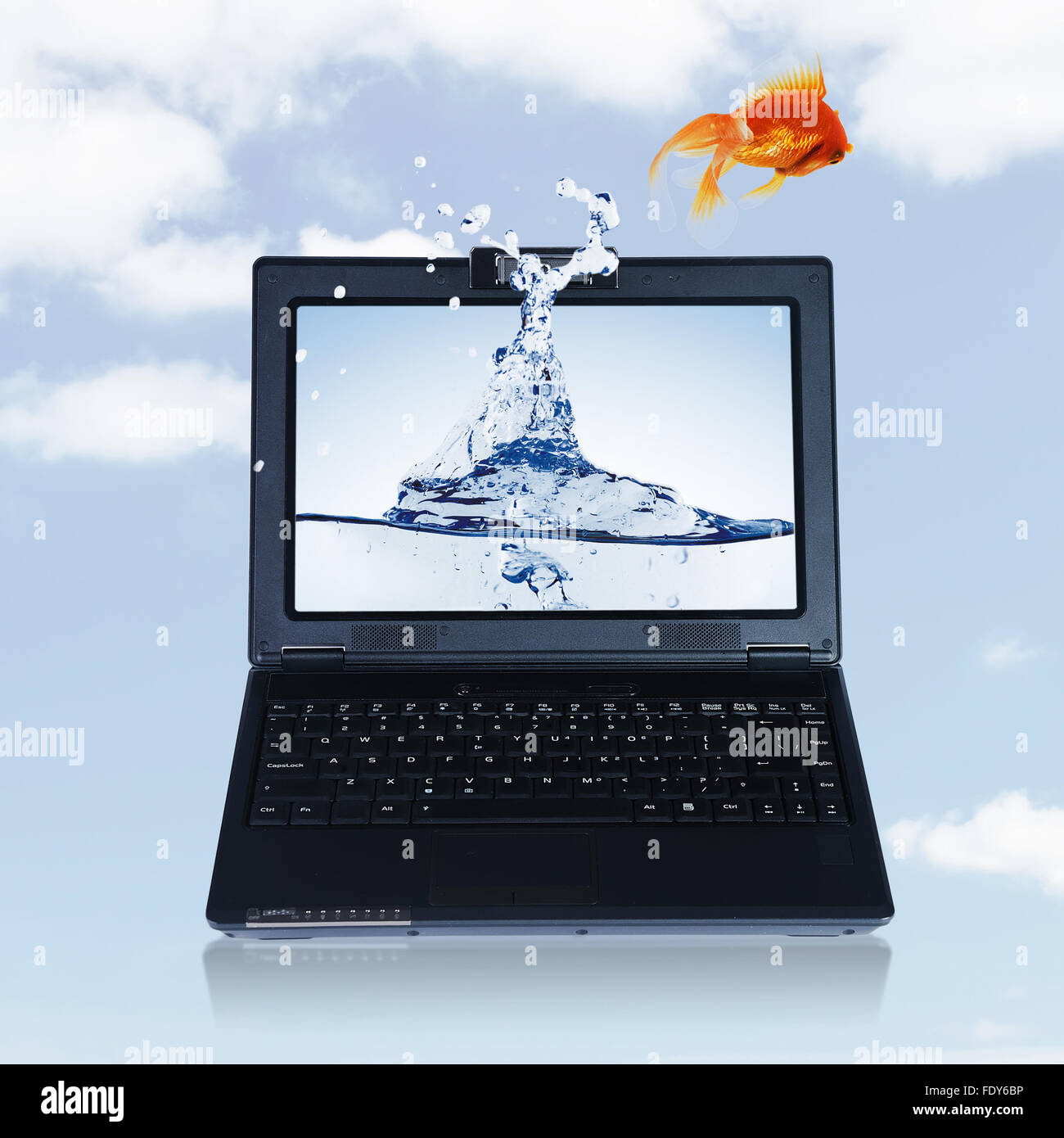 Goldfish and laptop. Collage Stock Photo - Alamy