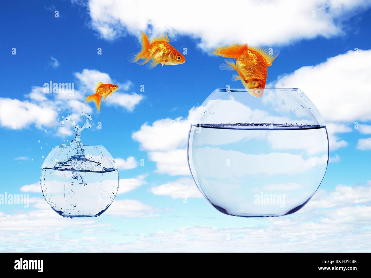 Goldfish and Aquarium. Collage Stock Photo - Alamy