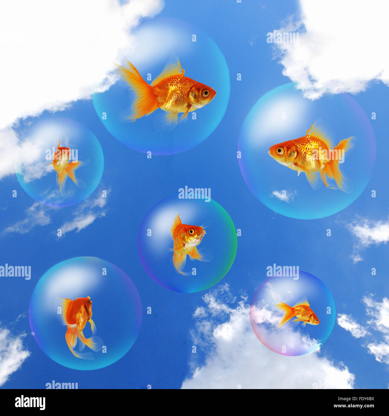 Goldfish and Aquarium. Collage Stock Photo - Alamy