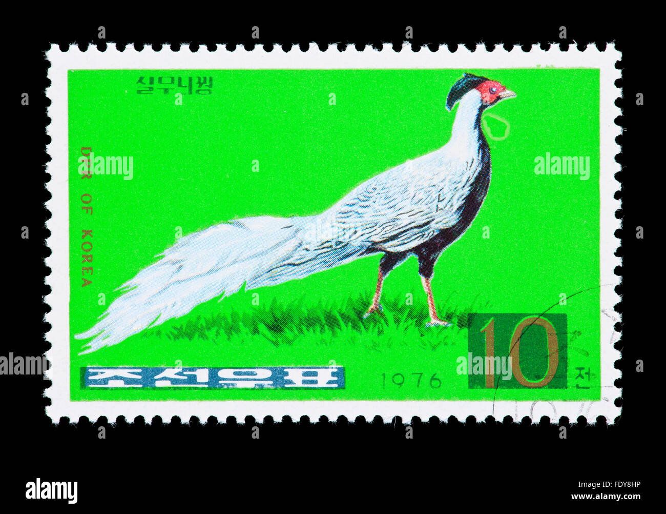 Postage stamp from North Korea depicting a silver pheasant (Lophura ...