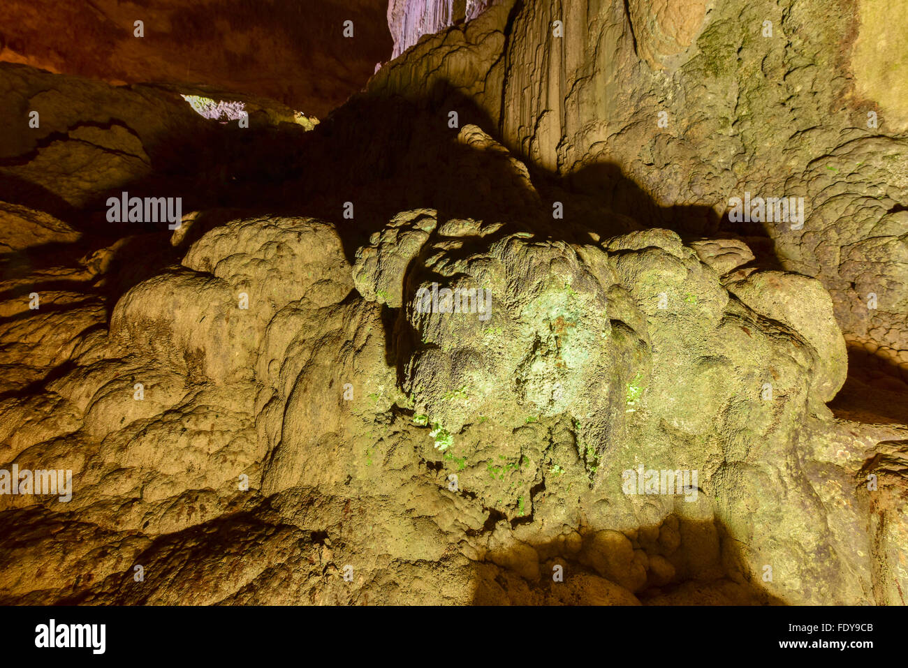 Rock formations of the Camuy River Cave Park in Puerto Rico Stock Photo ...