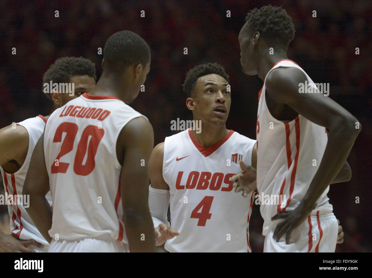 054 pies hi-res stock photography and images - Alamy