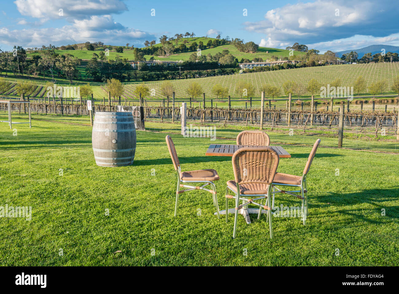 Vineyard cafe hi-res stock photography and images - Alamy