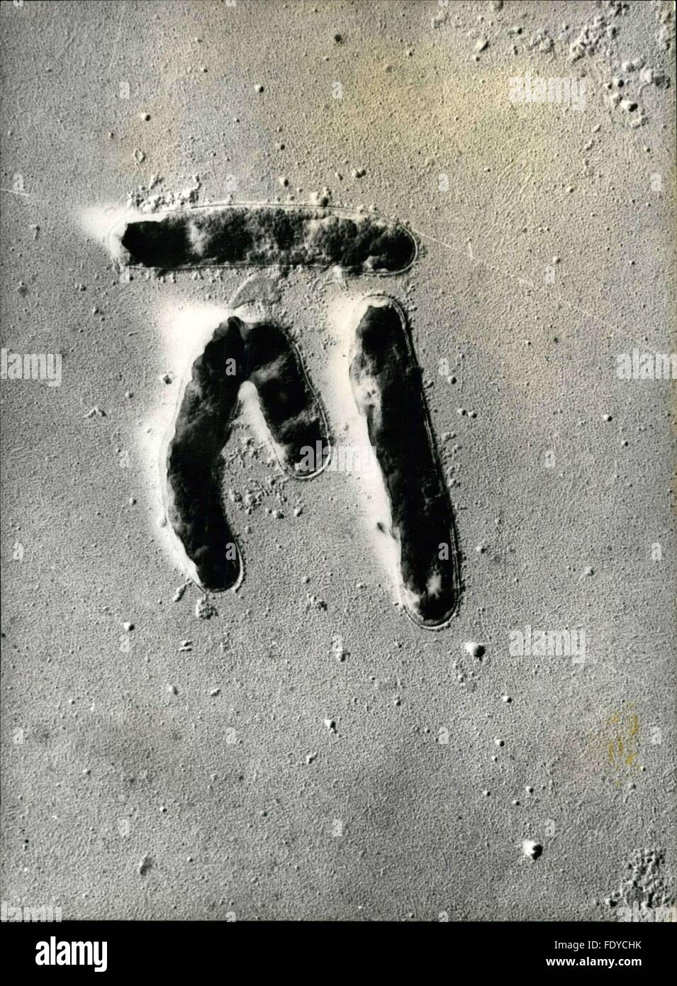 Tubercular bacillus hi-res stock photography and images - Alamy