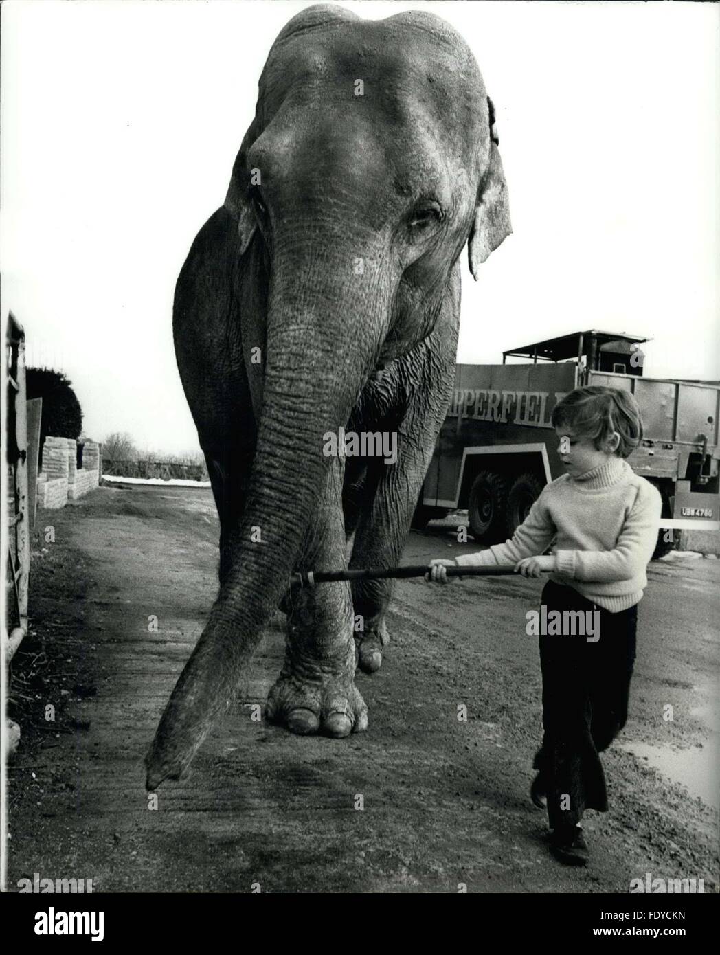 Sally anne hi-res stock photography and images - Alamy