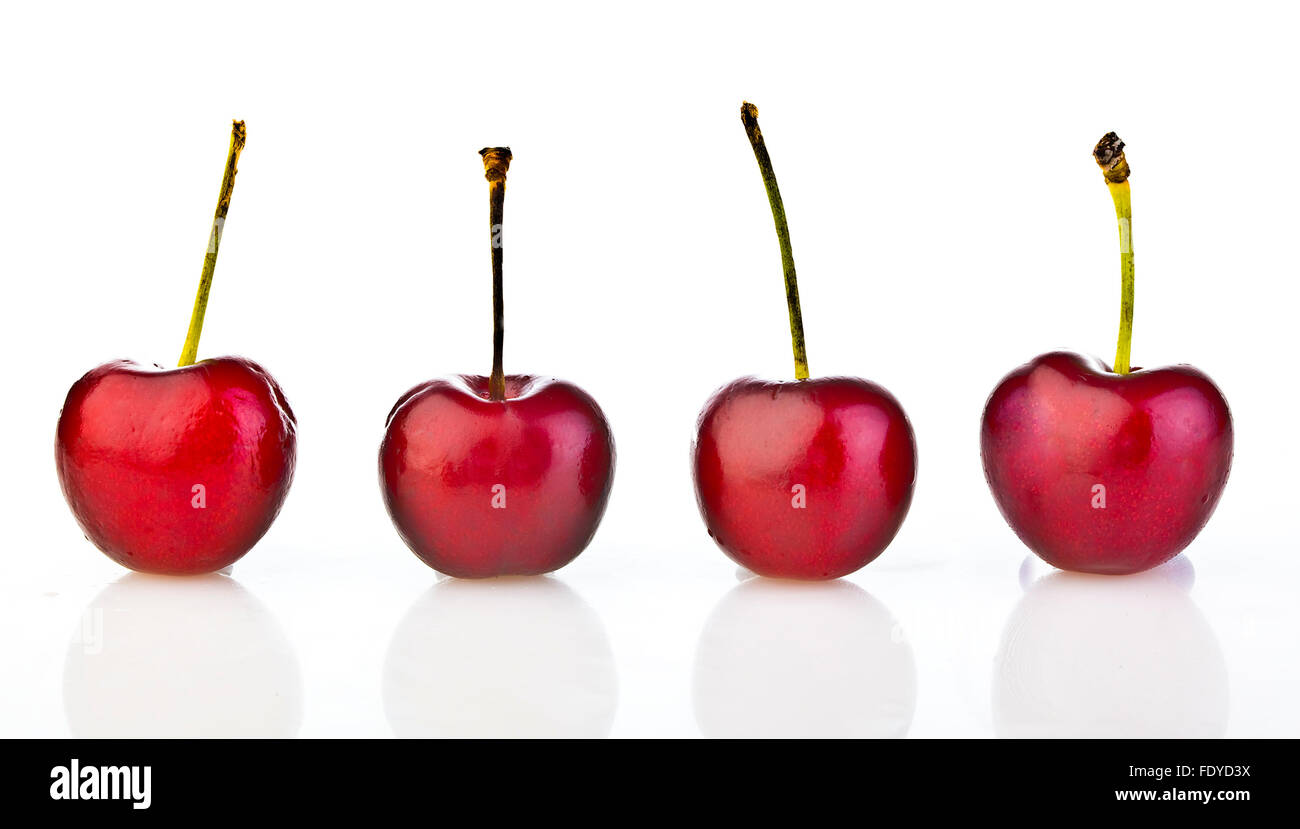 Row of Cherries against a white background Stock Photo - Alamy