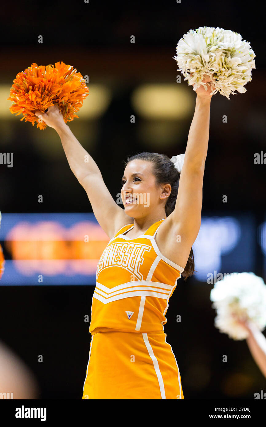 February 2, 2016: Tennessee Volunteers cheerleader Hana Shea Lewis ...
