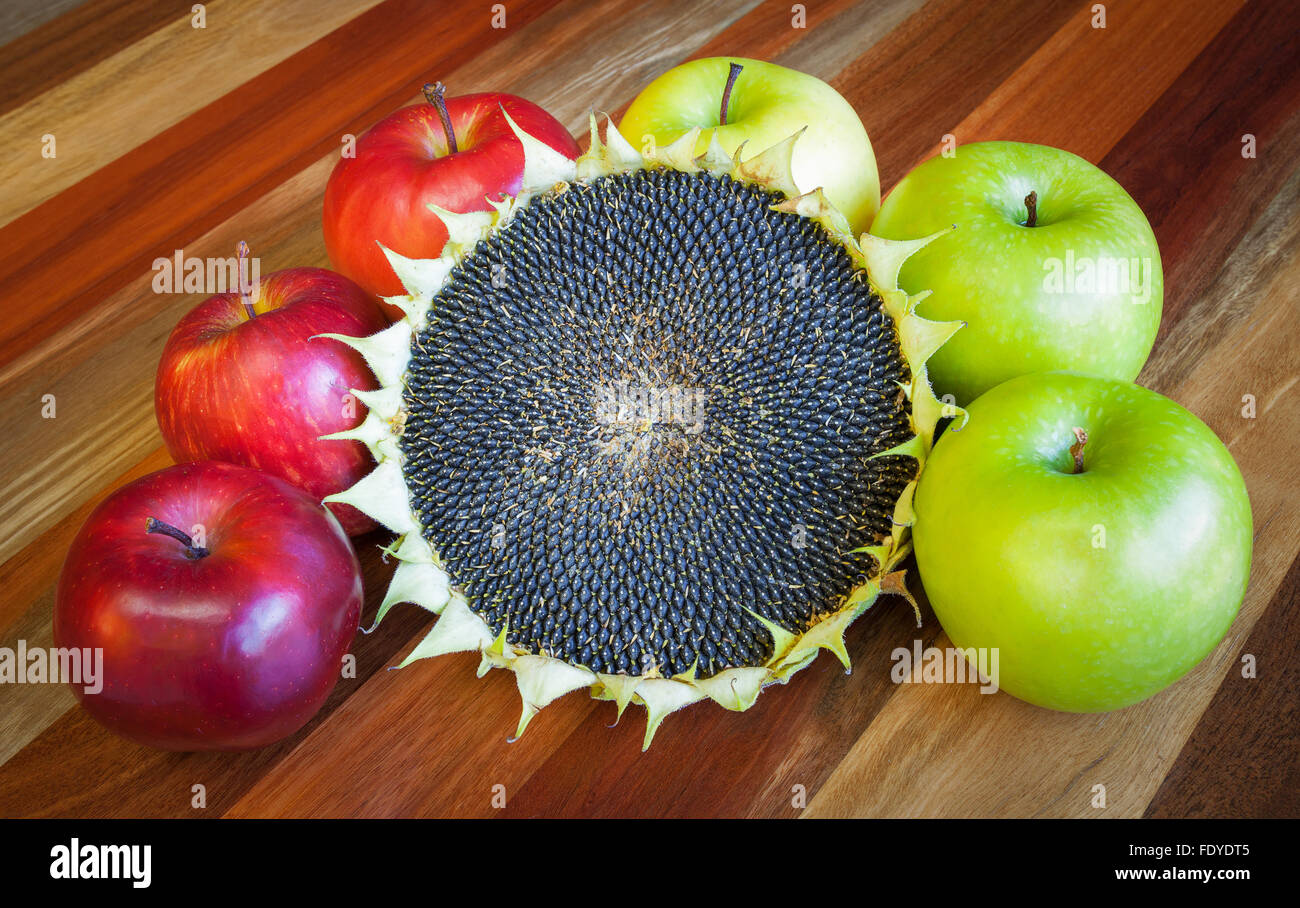 Apples and a ripe sunflower full of seeds. Still life composition of ...