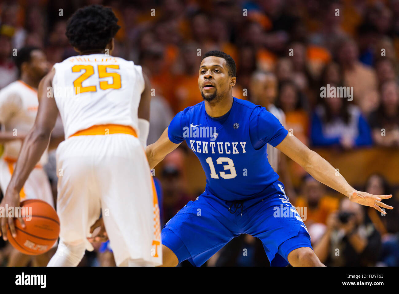 February 2, 2016: Isaiah Briscoe #13 of the Kentucky Wildcats defends ...