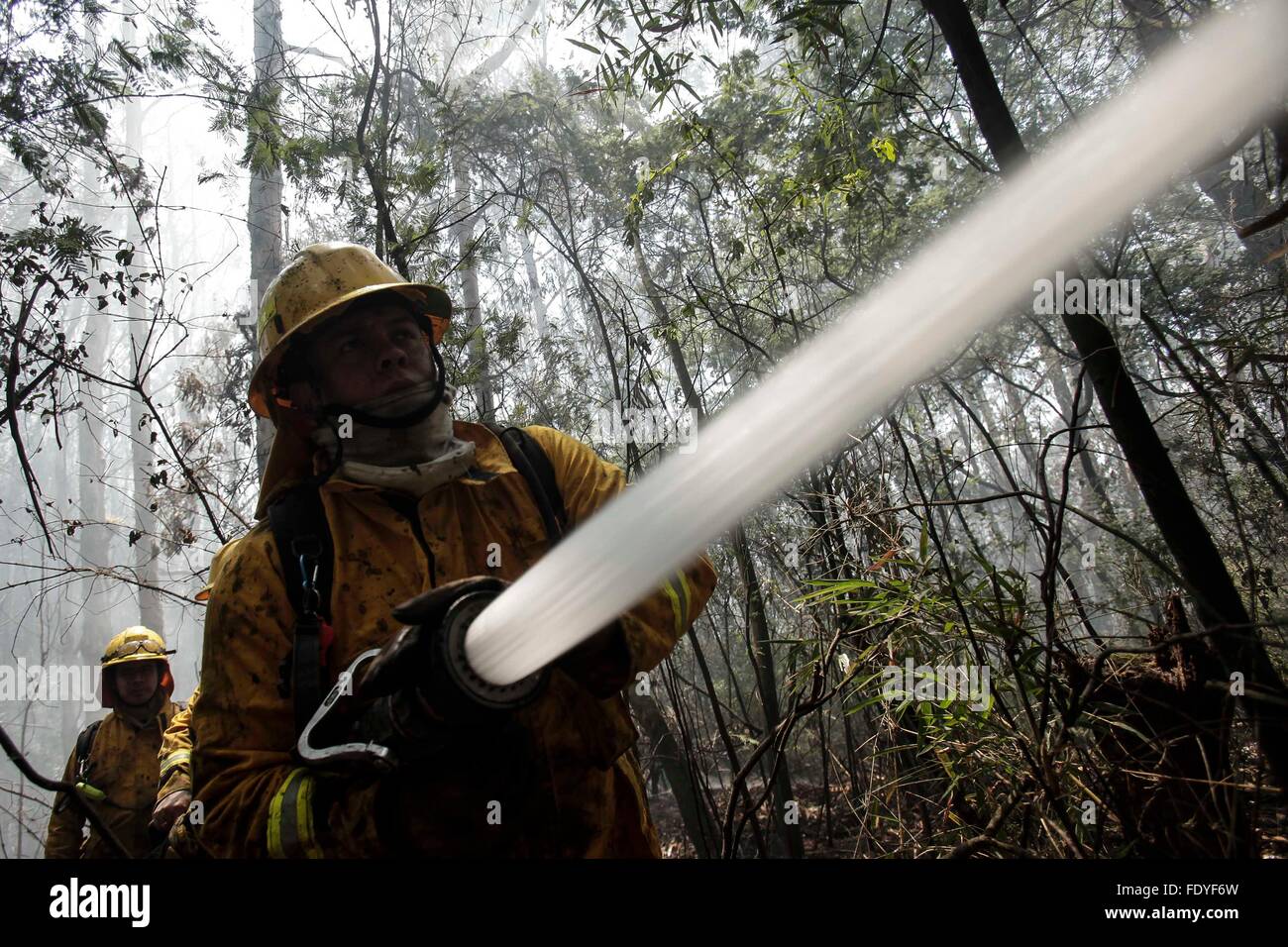 Firefighters colombia hi-res stock photography and images - Alamy