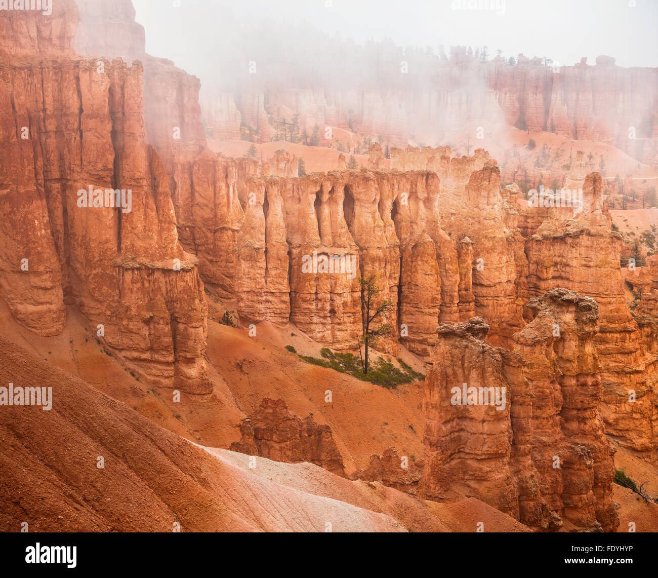Bryce Canyon National Park, UT: Fog in the sandstone formations and ...