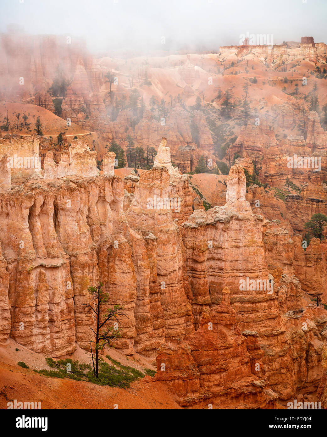 Bryce Canyon National Park, UT: Fog in the sandstone formations and ...