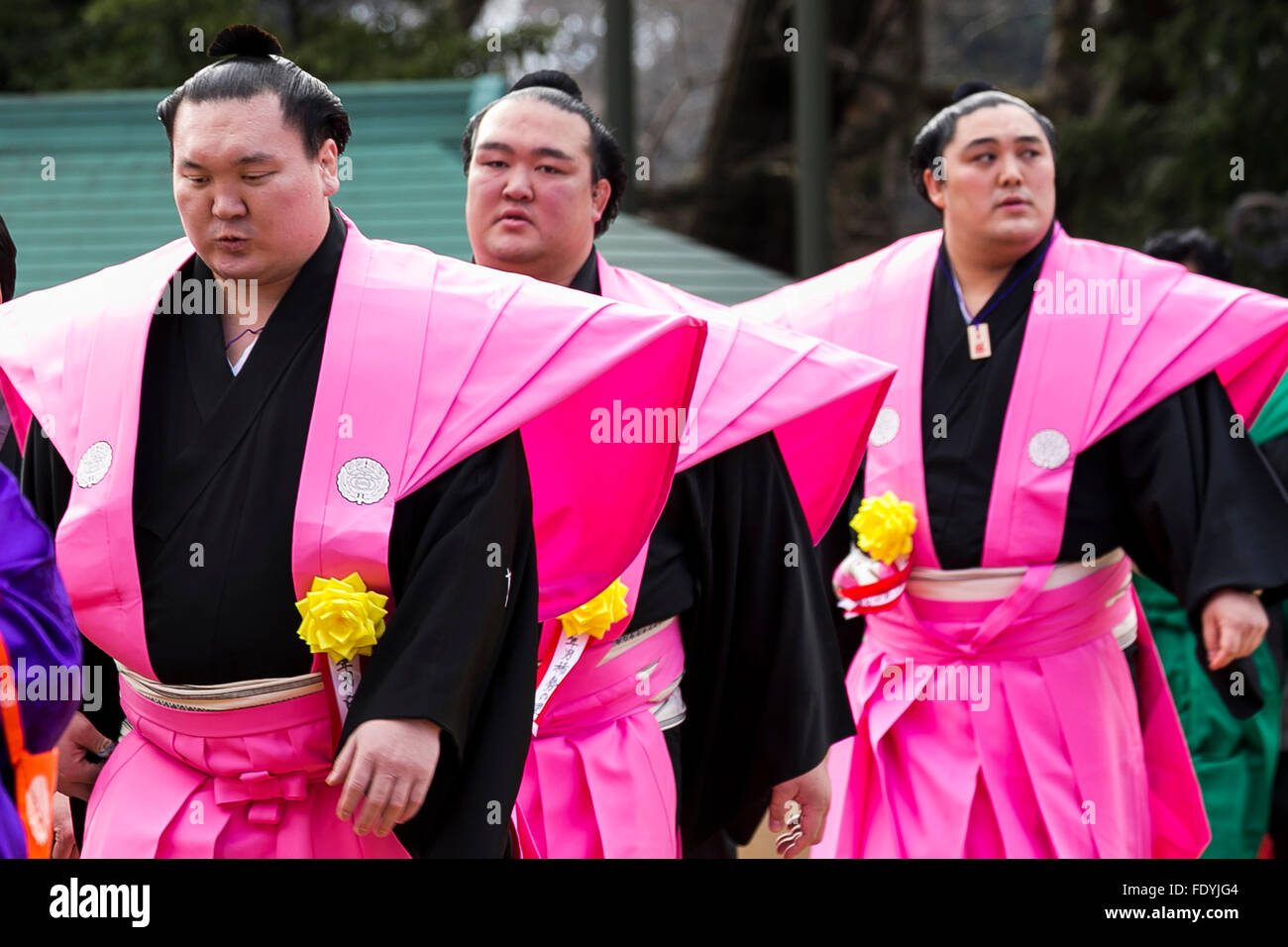 (L to R) Sumo wrestlers Yokozuna Hakuho Sho, Okinoumi Ayumi and Ozeki ...