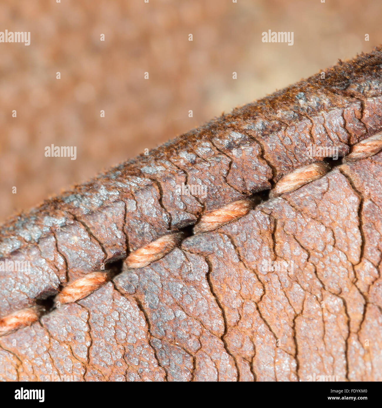 Close-up of old stiches in leather, vintage suitcase Stock Photo - Alamy