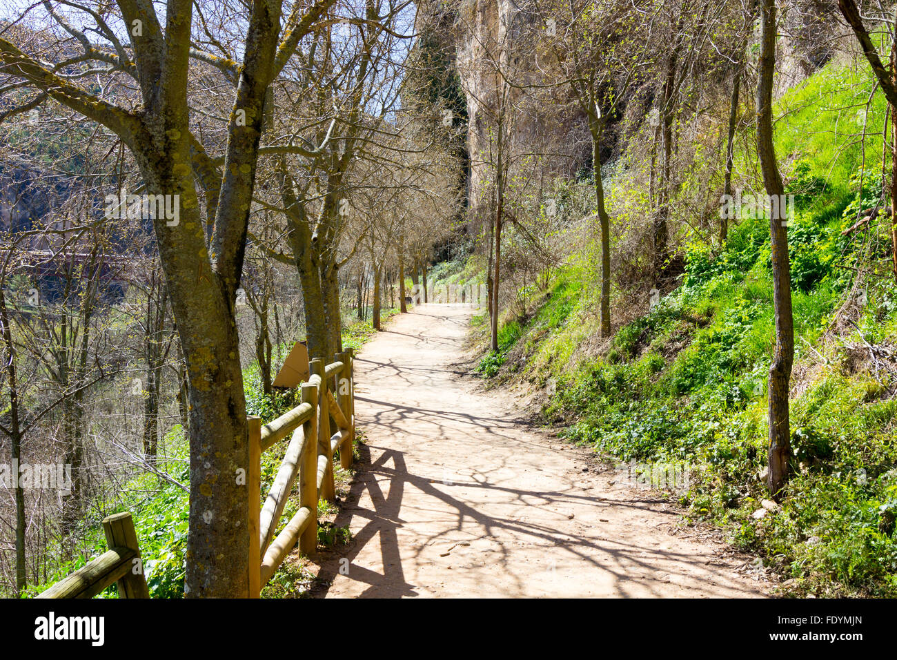 Tree in railing hi-res stock photography and images - Alamy
