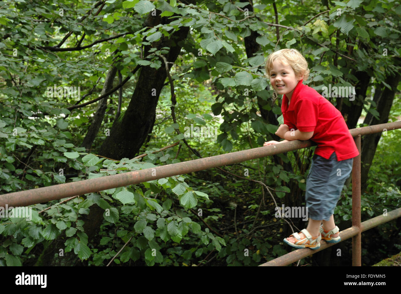 Boy climbing edge of bridge in woods Stock Photo - Alamy