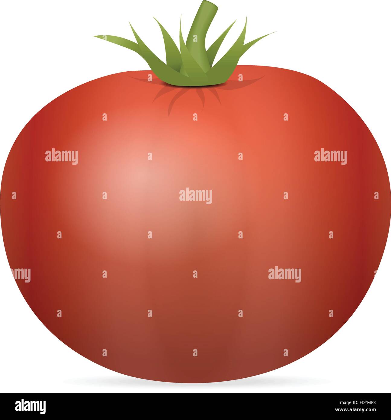 Organic ripe tomatoes Stock Vector Images - Alamy