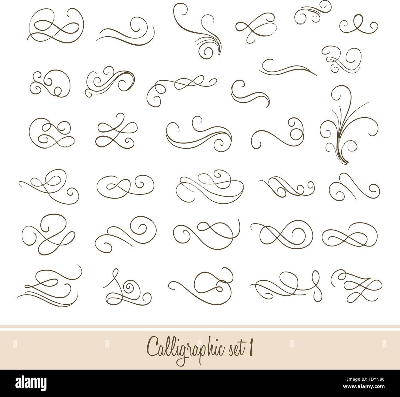 set of calligraphic decorative elements. vector Stock Vector Image ...