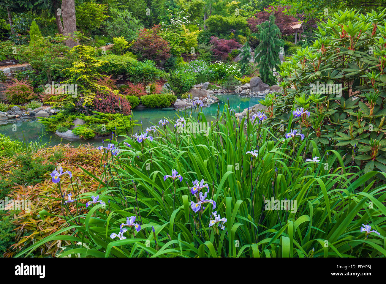 Plants pacific northwest border hi-res stock photography and images - Alamy
