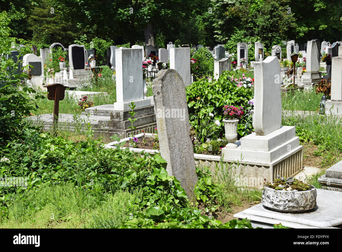 Tombstones in the public cemtery Stock Photo - Alamy