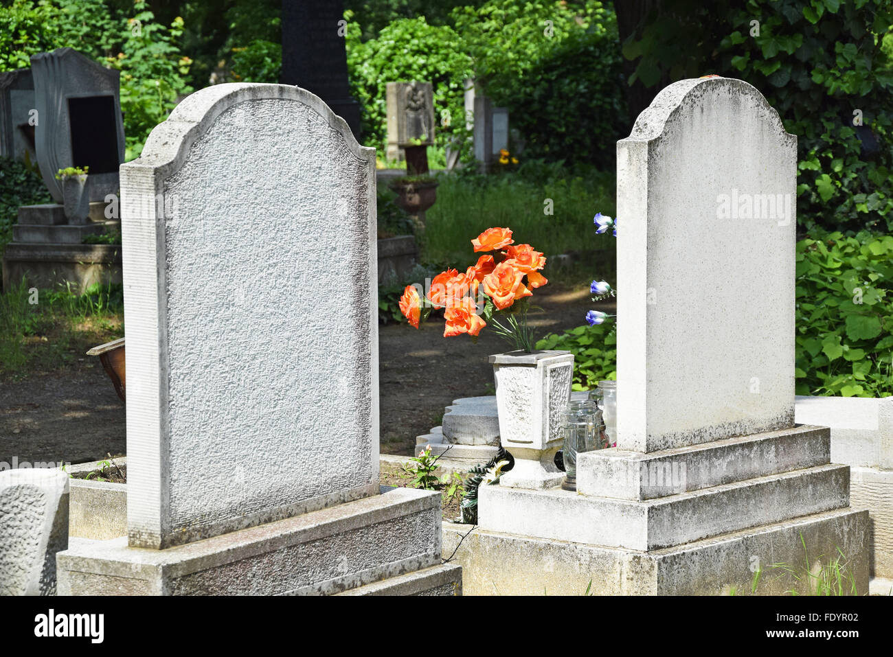 Tombstone rose tree hi-res stock photography and images - Alamy