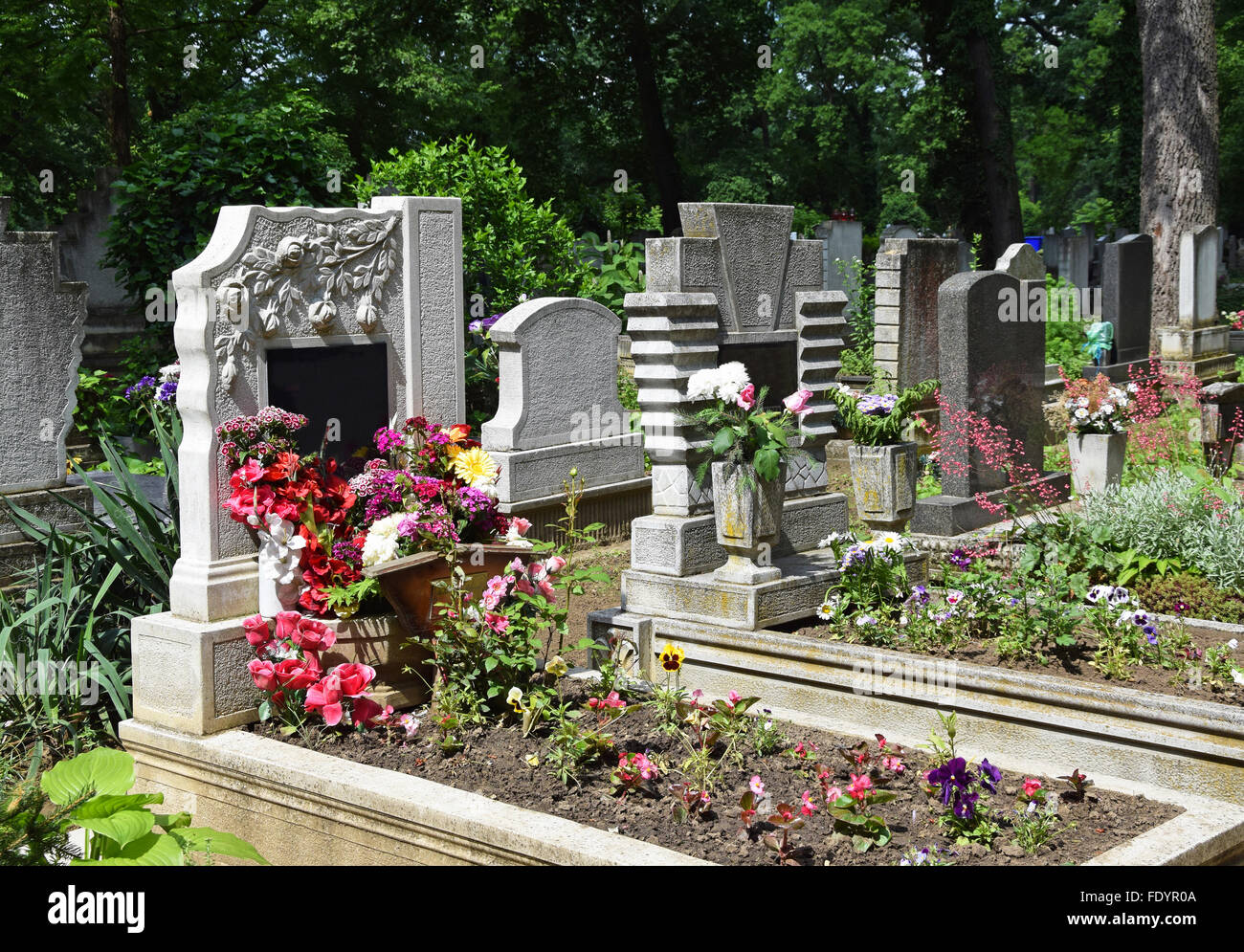 Tombstones in the public cemetery Stock Photo - Alamy