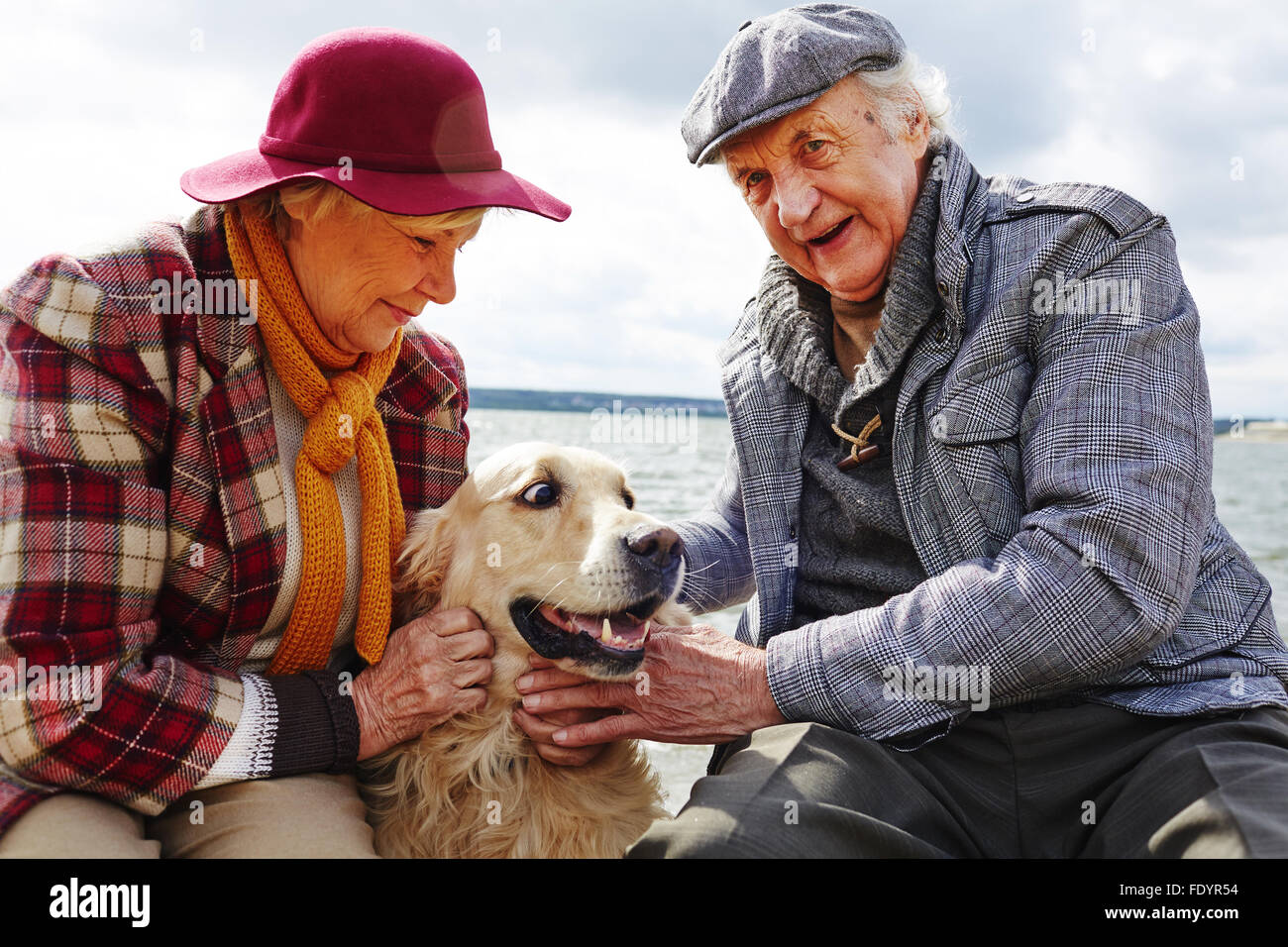 Labrador outdoors hi-res stock photography and images - Alamy