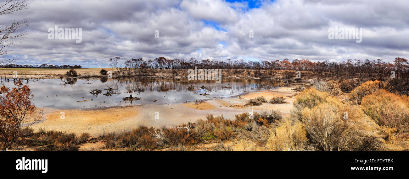 Lake in forest shallow rain hi-res stock photography and images - Alamy