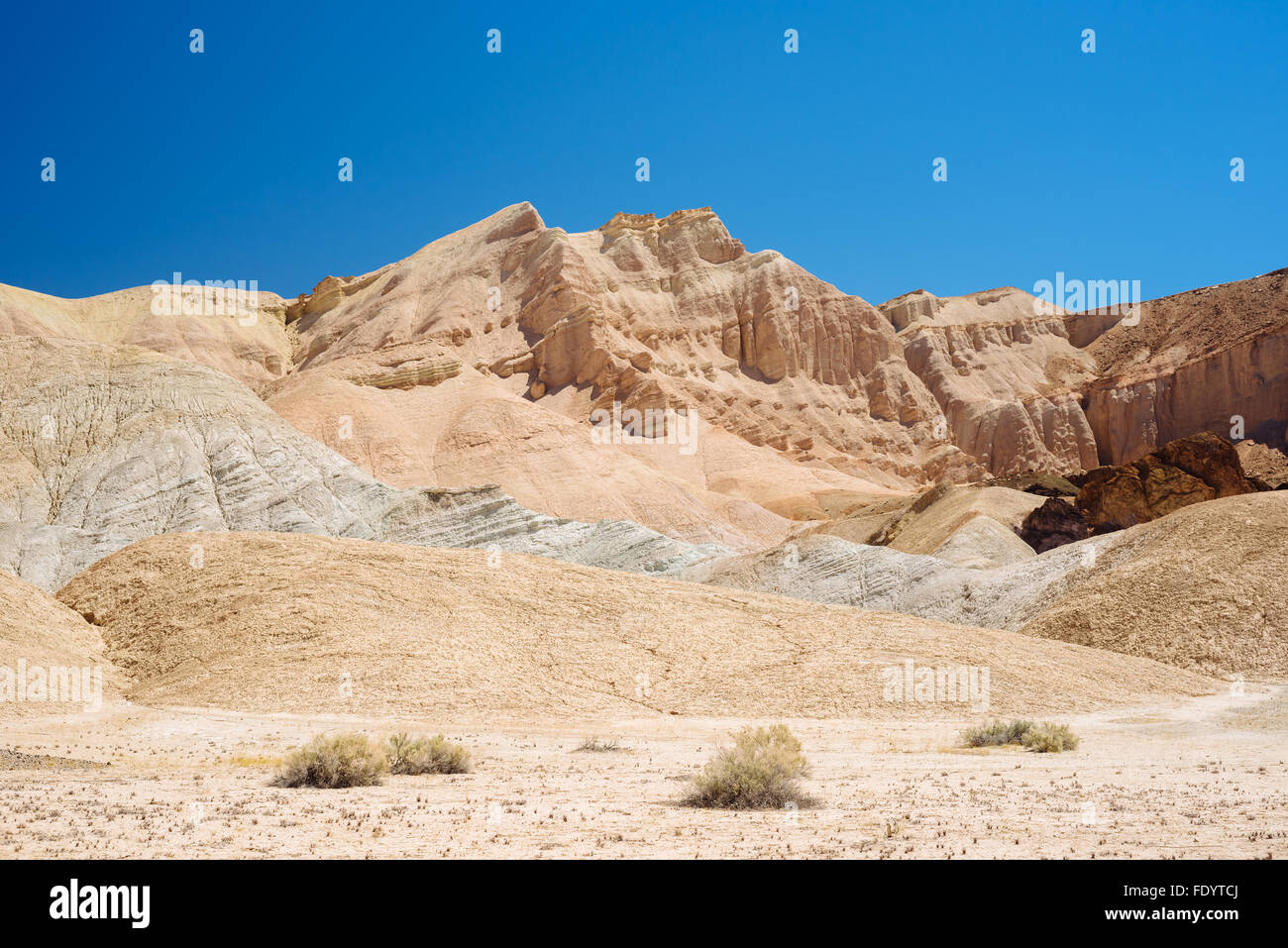 Desert scenery along the Amargosa River Trail near Tecopa, California ...