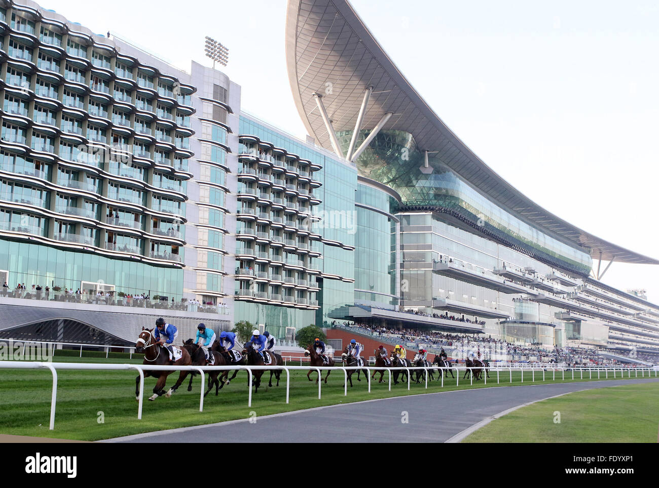 Conditioning horses hi-res stock photography and images - Alamy