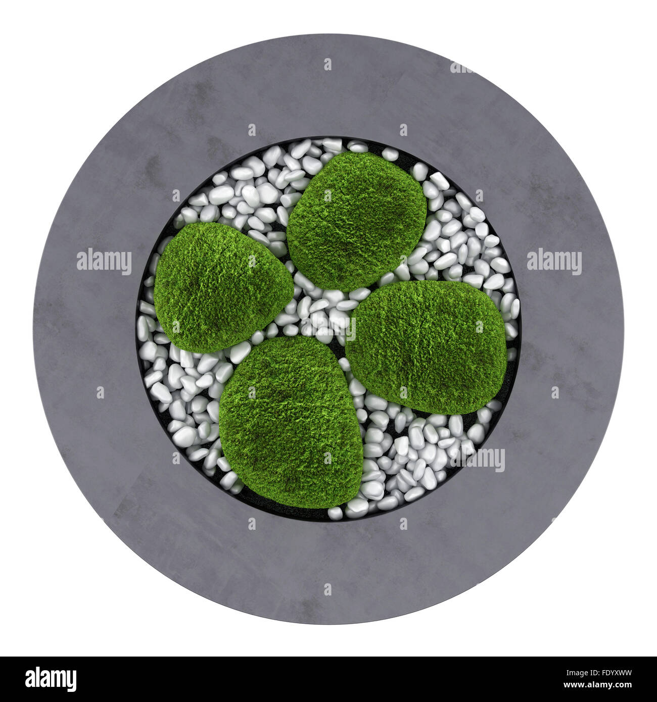 top view of moss pot isolated on white background Stock Photo - Alamy